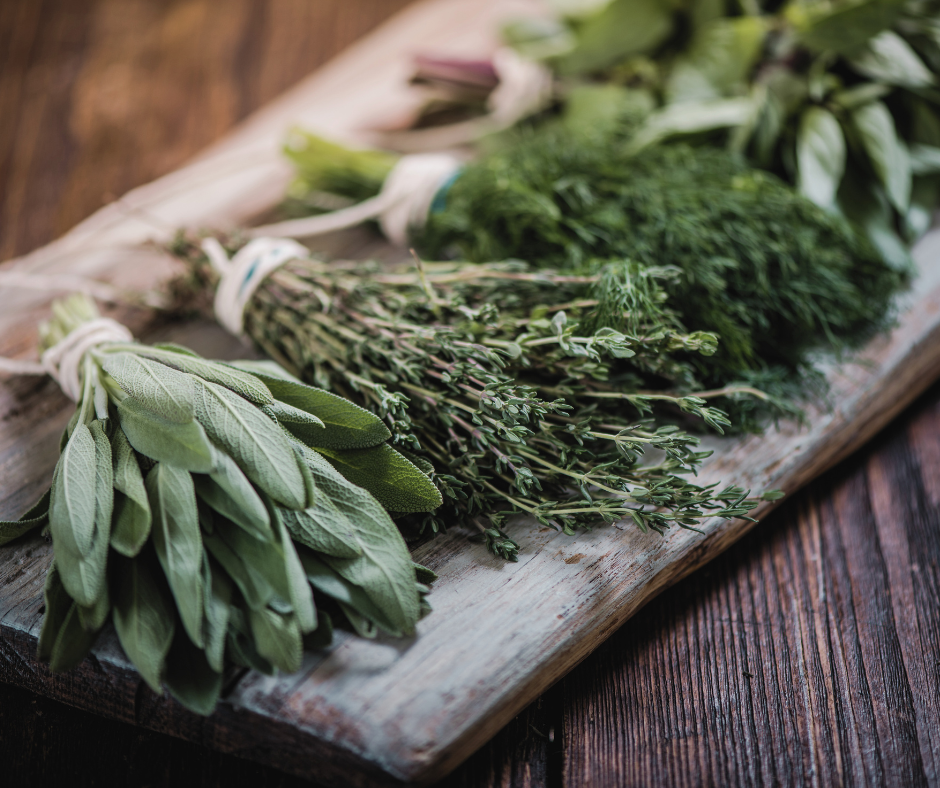 Harvesting and Preserving Herbs: A Step-by-Step Guide - Your Sovereign Life